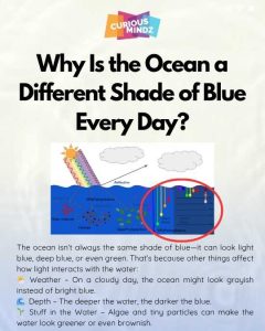 Why Is Water Blue? - Curious Mindz Singapore